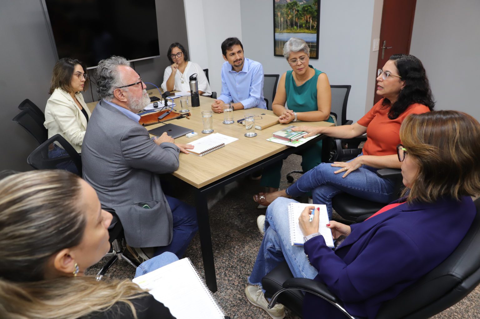 Governo do Tocantins e IFTO articulam parcerias para fortalecer ...