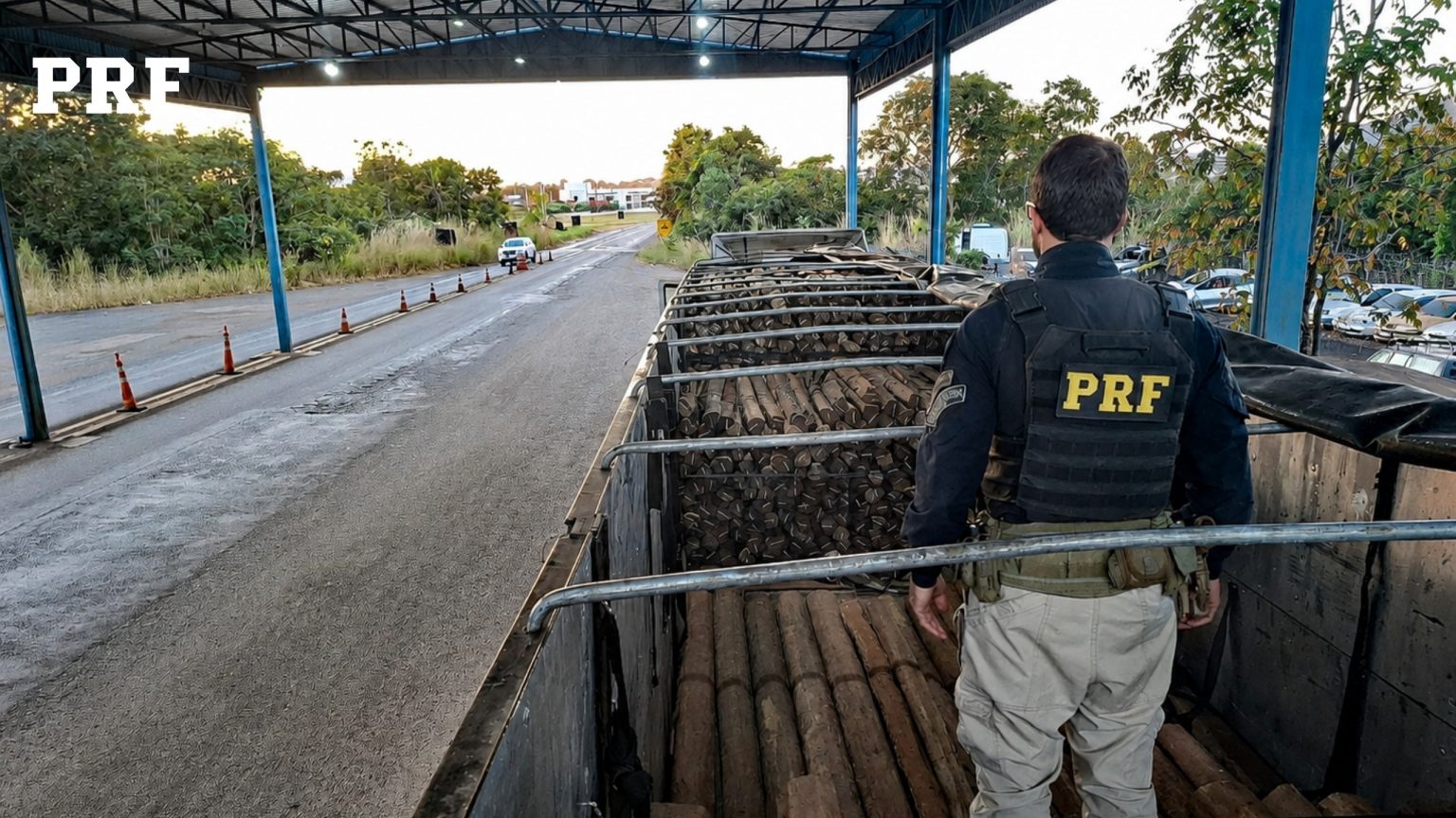PRF apreende mais de 22 m³ de madeira nativa transportada sem licença ...